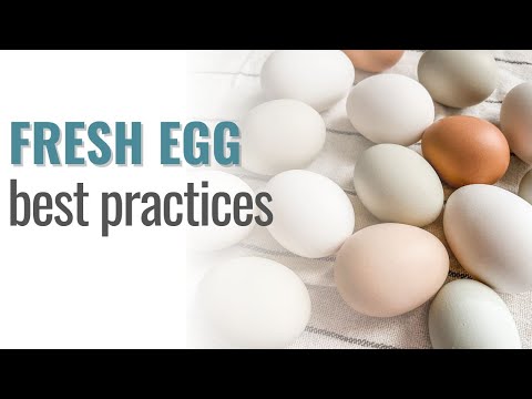 The Best Way to Wash and Store Fresh Eggs - Audrey's Little Farm