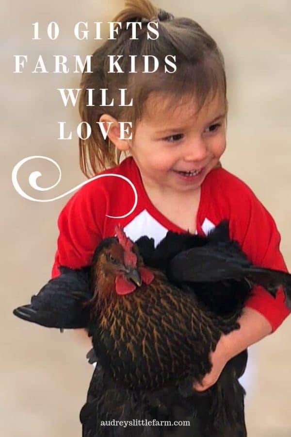 10 Farm Gifts for Kids - Gift Guide - Audrey's Little Farm