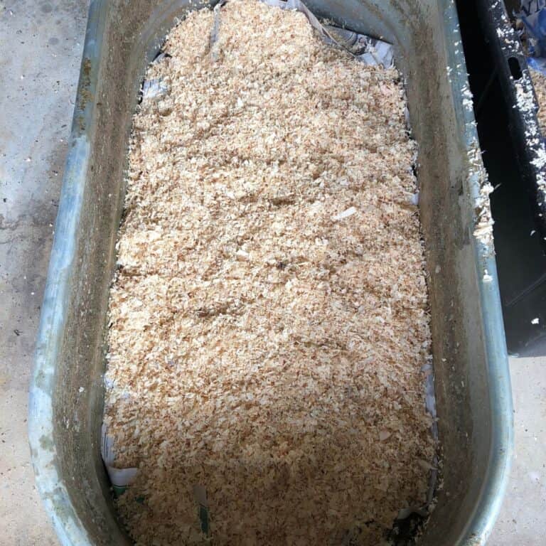 5 Easy Baby Chick Brooder Ideas - Audrey's Little Farm