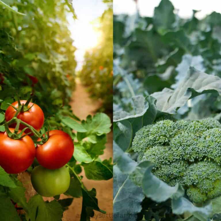 Best Tips for Zone 9 California Gardening - Audrey's Little Farm